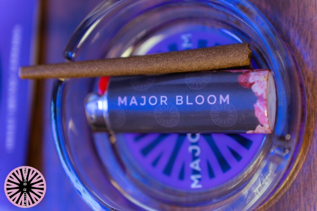 Institutionalization of Cannabis | Education and Healing the Economy ...