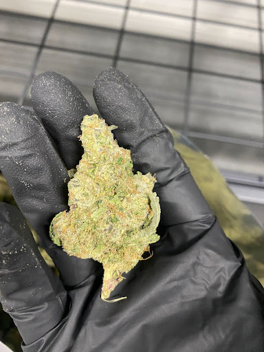 Celebrating 4/20 with Nostalgic Cannabis Products - Major Bloom ...